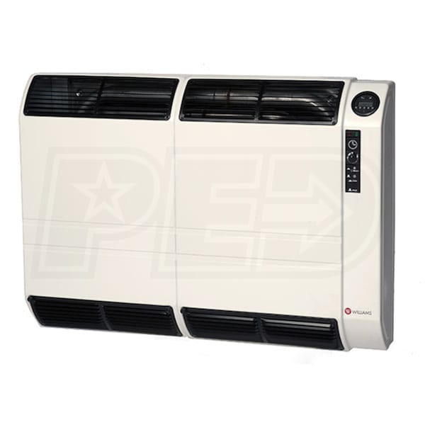 Williams 2903511 High-Efficiency Direct-Vent - 29,000 BTU - Gas-Fired ...